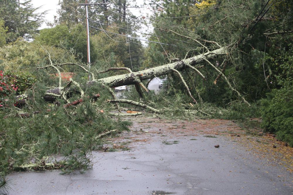 The Return – The way way back | Not Doing the Smartest Thing